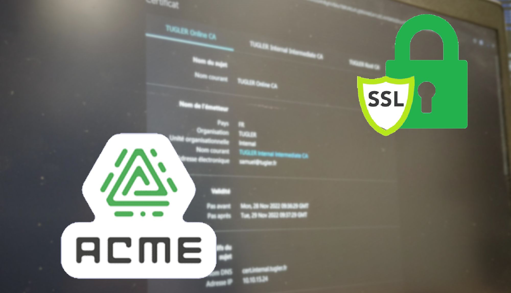TheStaticTurtle - Running an ACME in my homelab